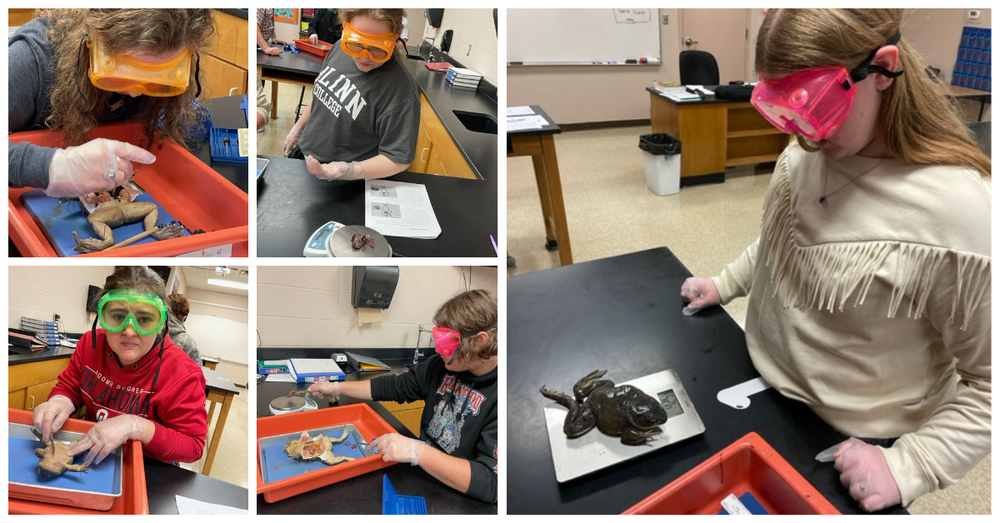 Forensics class autopsy lab | Spurger ISD